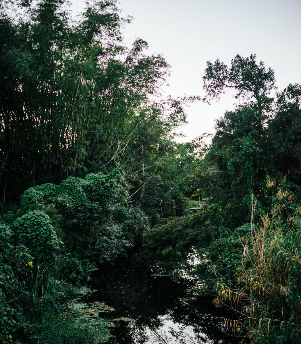 Like an Ever-Flowing Stream: An Introduction – Southern Gothic Womanist